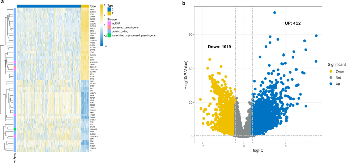 Expression and relationship of PD-L1, CD24, and CD47 in hepatitis B virus associated ...