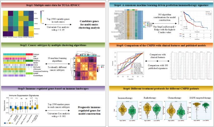 Integrating immune multi-omics and machine learning to improve prognosis, immune landscape, and ...