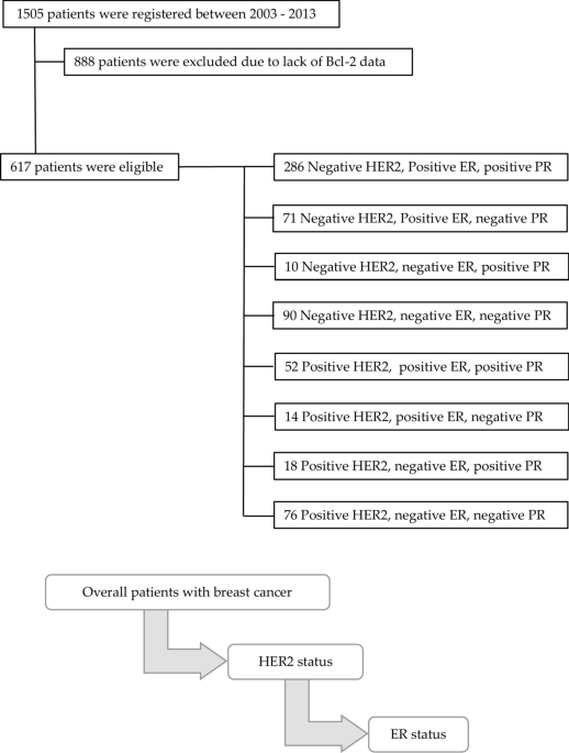 Subtype-specific prognostic impact of Bcl-2 in HER2-positive and HER2 ...