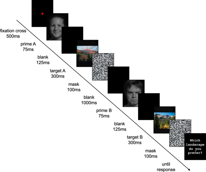 Incidental affect influences choice preference among competing ...