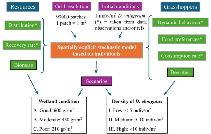 Assessing the potential impact of grasshopper outbreaks on Patagonian ...