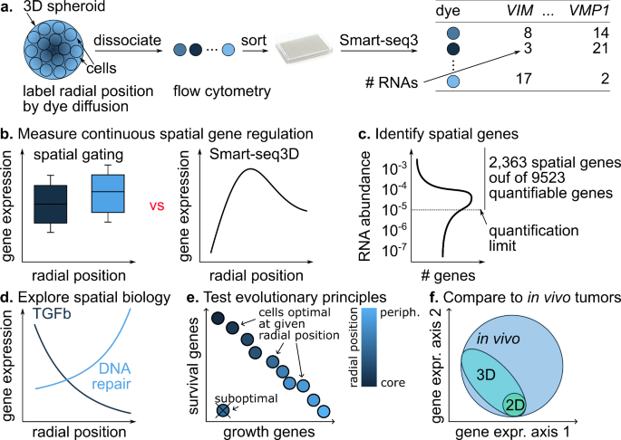 Diffusion Smart-seq3 of breast cancer spheroids to explore spatial ...