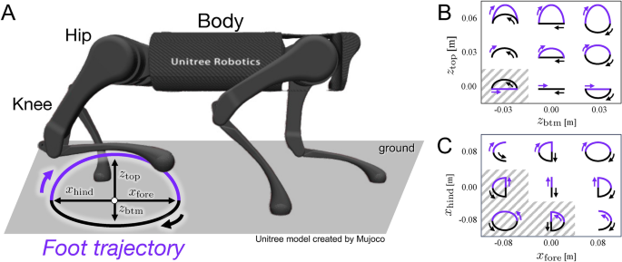 Foot trajectory as a key factor for diverse gait patterns in quadruped ...