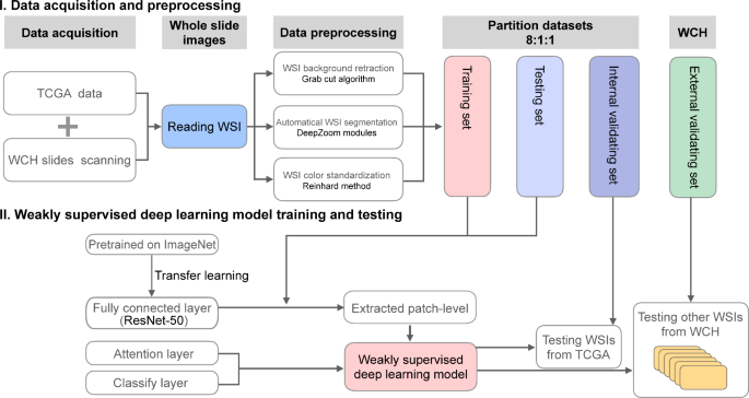 Weakly supervised deep learning-based classification for histopathology ...