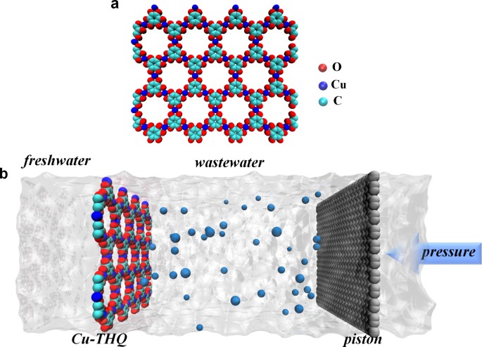 Molecular dynamics simulations reveal efficient heavy metal ion removal ...