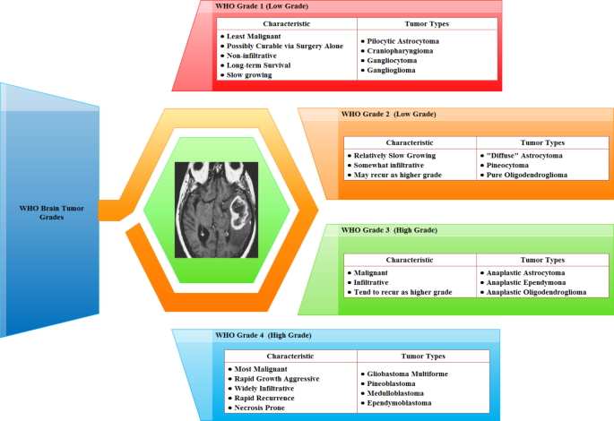 Deep learning-integrated MRI brain tumor analysis: feature extraction ...