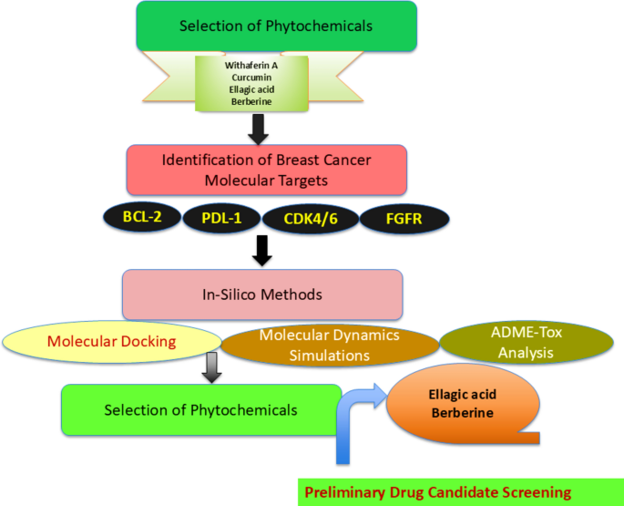 Comprehensive pharmacokinetic profiling and molecular docking analysis ...