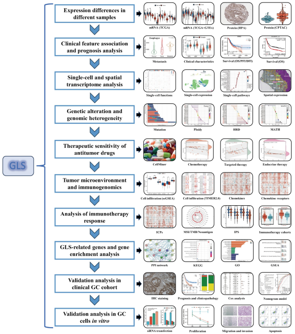 Integrative pan-cancer analysis and experiment validation identified ...