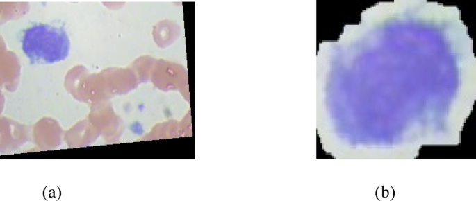 Domain knowledge-infused pre-trained deep learning models for efficient ...