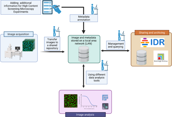 High-content screening (HCS) workflows for FAIR image data management ...