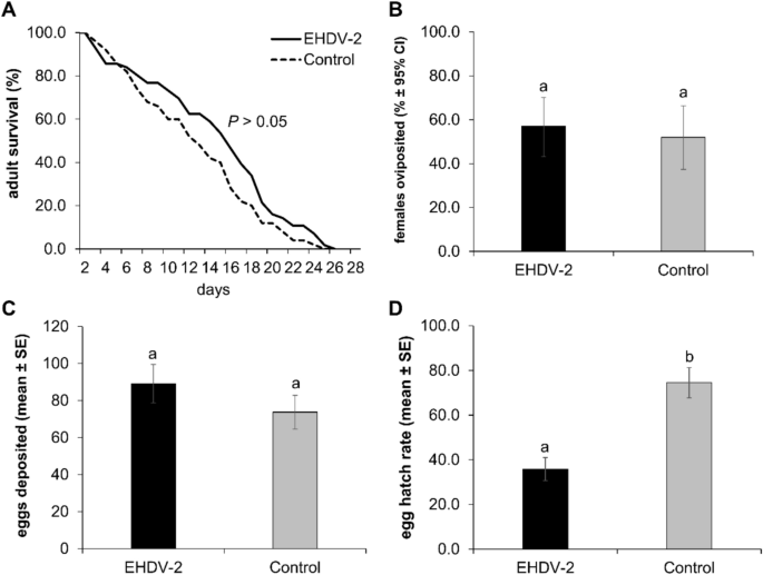 Epizootic hemorrhagic disease virus oral infection affects midge ...