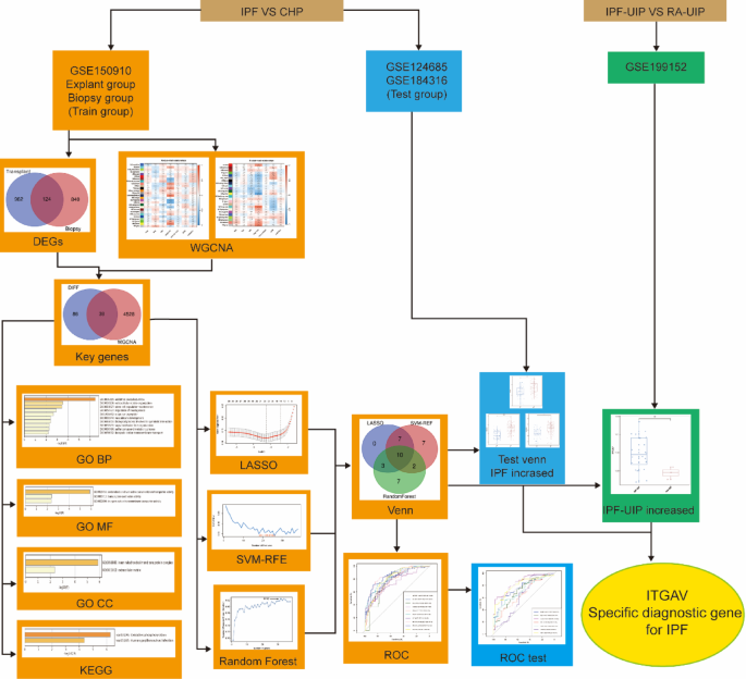 ITGAV, a specific biomarker associated with the pathogenesis of ...