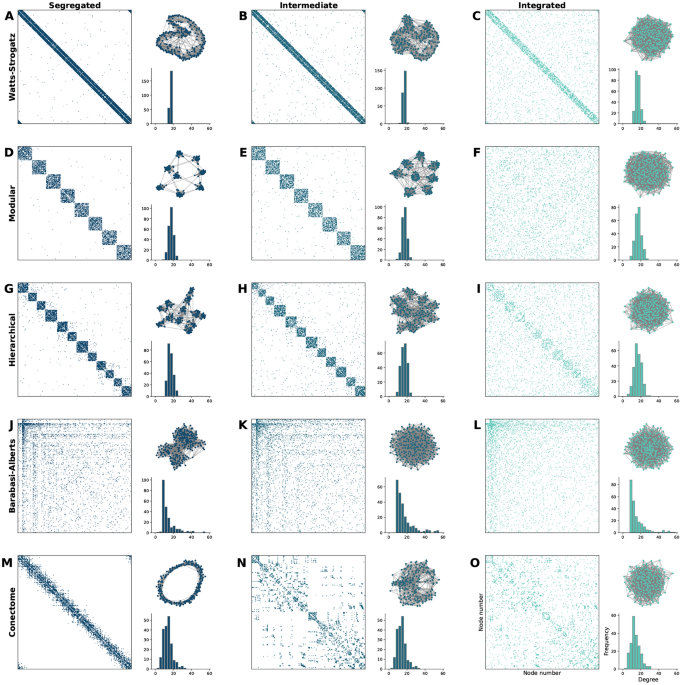 The balance between integration and segregation drives network dynamics ...