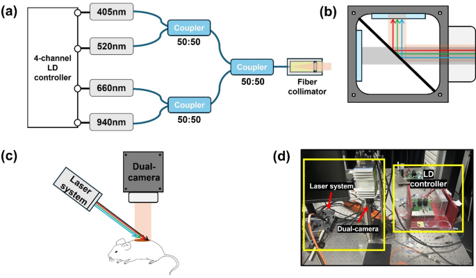 Multi-wavelength imaging photoplethysmography for non-invasive and non ...