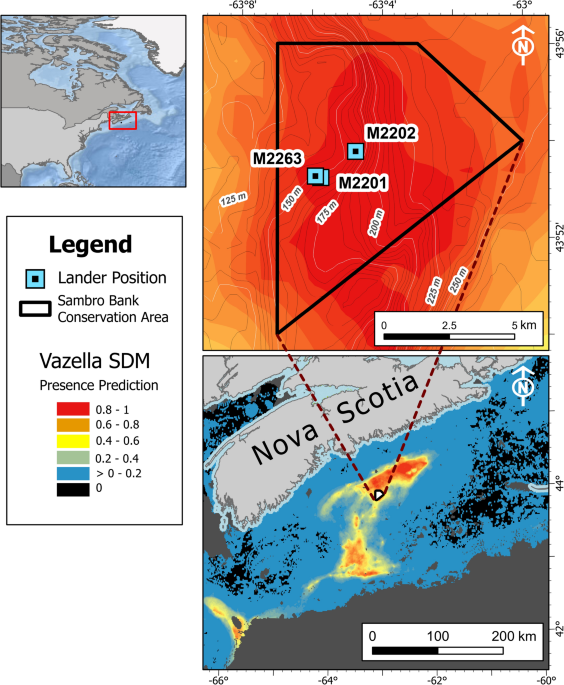 Fish use of deep-sea sponge habitats evidenced by long-term high ...