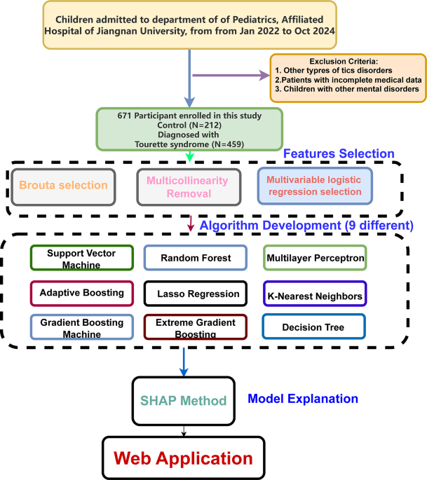 Machine learning based predictive model of the risk of Tourette syndrome with SHAP value ...