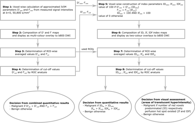 Combined diffusion and perfusion index maps from simplified intravoxel ...