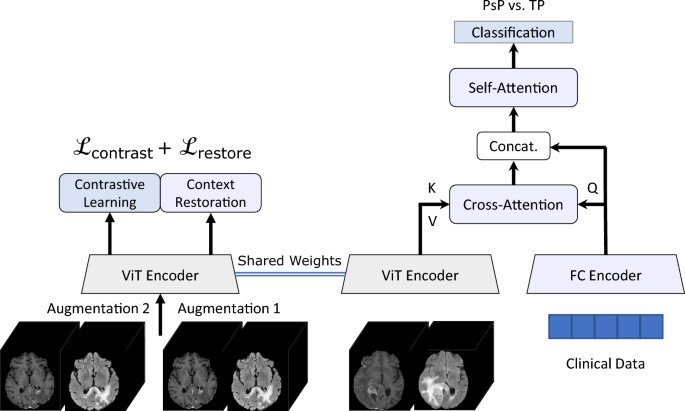 A self-supervised multimodal deep learning approach to differentiate ...