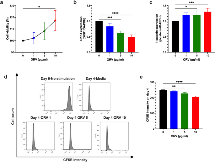 Oxyresveratrol enhances hair regeneration in human dermal papilla cell ...