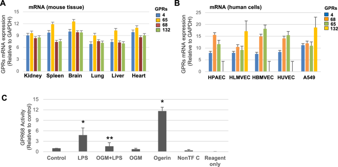 Novel small molecule inhibitor of GPR68 attenuates endothelial ...