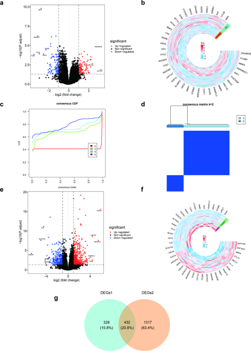 Transcriptome combined with Mendelian randomization to identify key ...