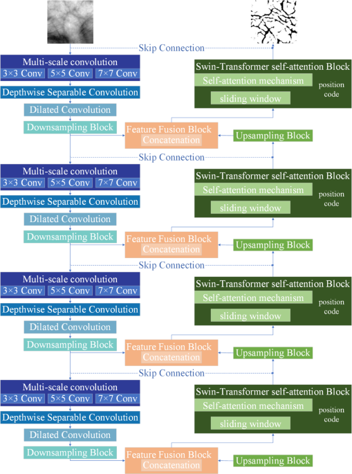A novel approach to palm vein image segmentation combining multi-scale convolution and swin ...