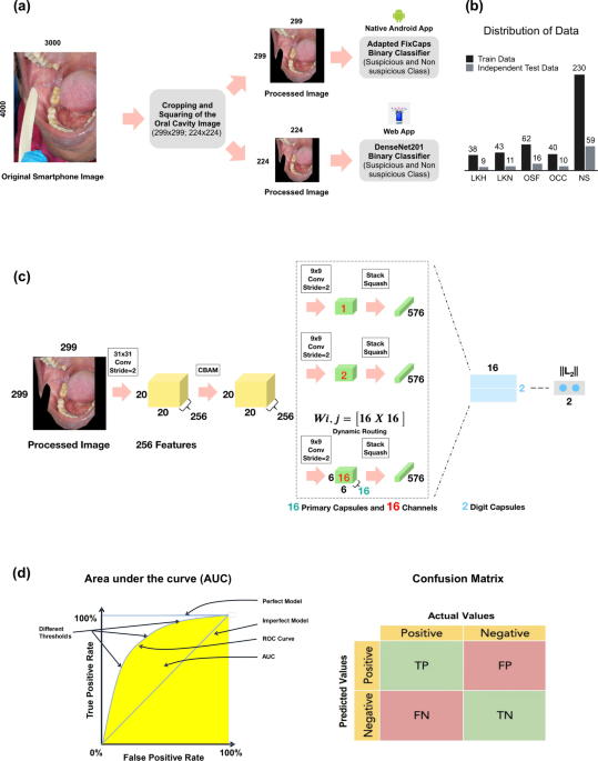 Screening of oral potentially malignant disorders and oral cancer using ...