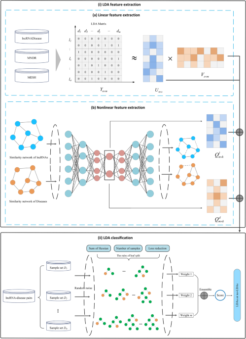 Predicting lncRNA and disease associations with graph autoencoder and ...