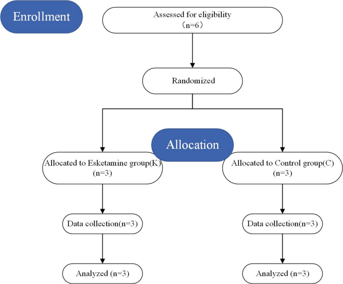 Effects of esketamine-based opioid-sparing anesthesia protocol in Bama ...
