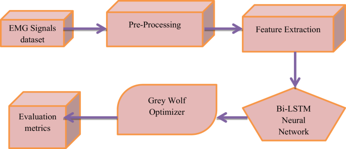 Diagnosis and classification of neuromuscular disorders using Bi-LSTM ...