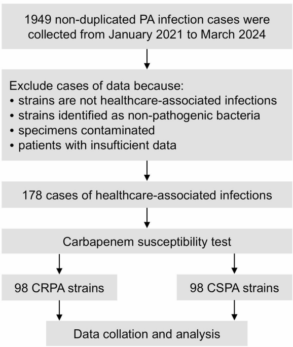 Predicting carbapenem-resistant Pseudomonas aeruginosa infection risk ...