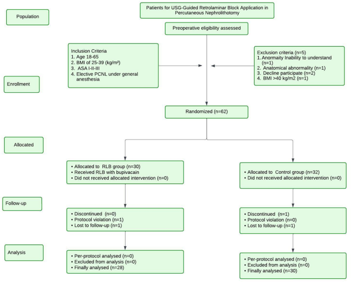 Ultrasound guided retrolaminar block reduces postoperative ...