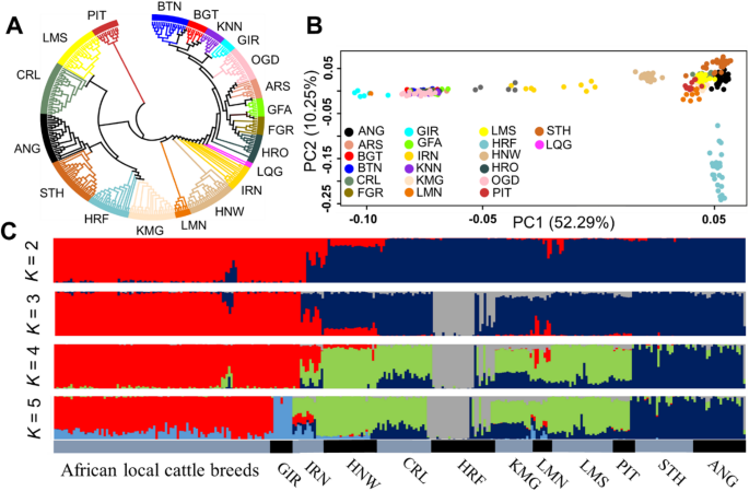 Decoding the beef cattle genome through whole-genome sequencing reveals ...