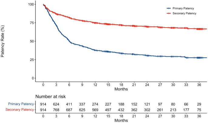 Predicting long-term patency of radiocephalic arteriovenous fistulas ...