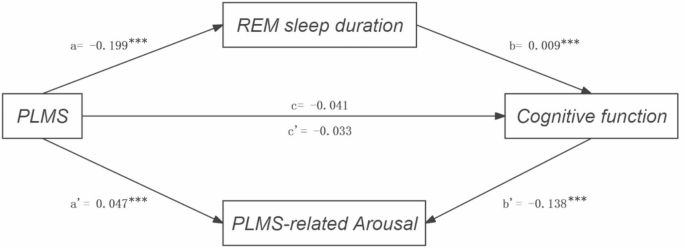 Periodic leg movements and cognitive function in middle-aged and ...