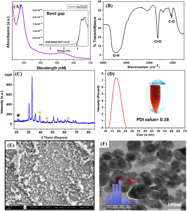 Affordable ultrasensitive electrochemical detection of PCA3 for early ...