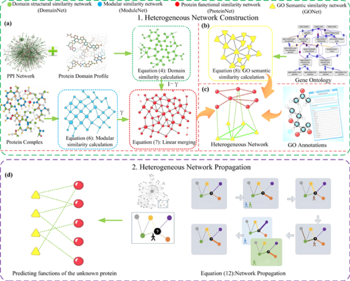 Protein function prediction using GO similarity-based heterogeneous network propagation ...