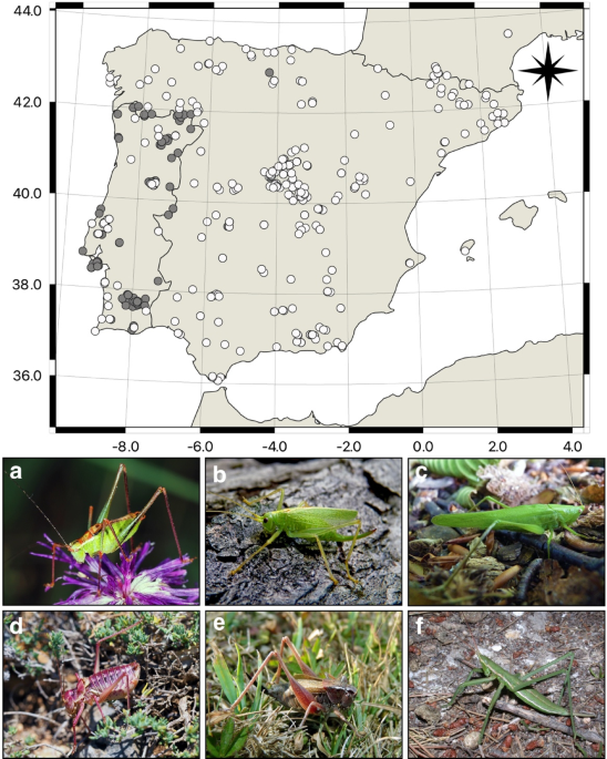 DNA barcode reference library of bush-crickets (Orthoptera ...
