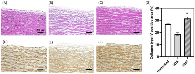 Recellularization of decellularized vascular grafts via aligned seeding ...