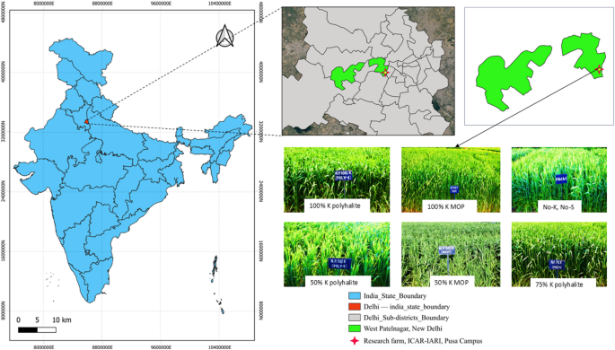 Optimizing root physiology and soil nutrient balance in rice–wheat ...