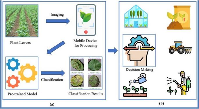 A lightweight hybrid model for scalable and robust plant leaf disease ...