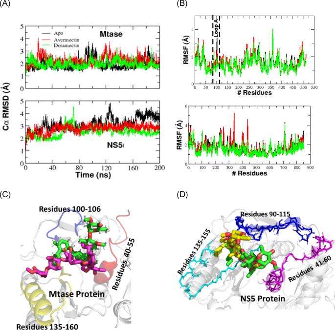 Computational repurposing of drugs against dengue virus targeting NS5 and methyltransferase ...