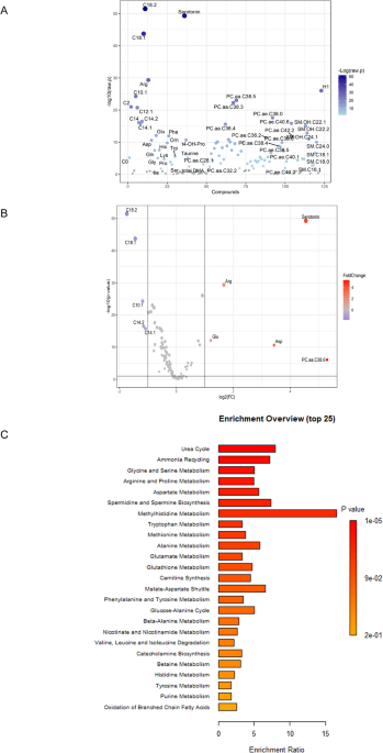 Metabolic profiles of squamous cell lung carcinoma and diagnostic model construction ...
