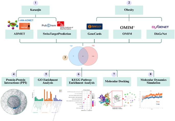 In Silico exploration of Karanjin for anti-obesity potential through ...