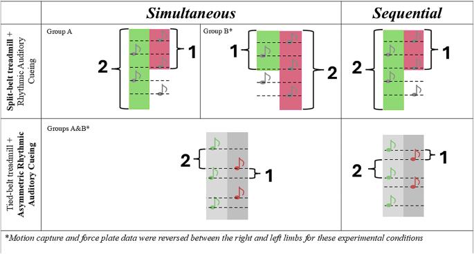 Error-driven intralimb and interlimb adaptations under asymmetric ...