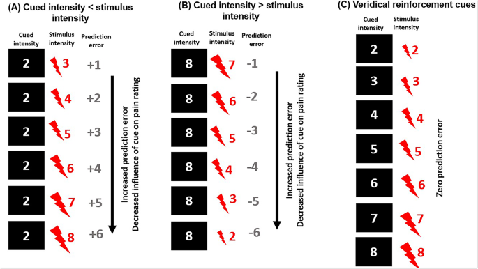 Dynamic learning of the meaning of information changes pain perception ...