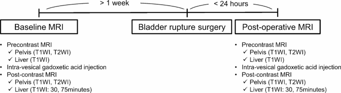Intravesical Gadoxetic acid enhanced MRI for evaluation of urinary ...