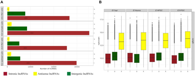 Transcriptomic analysis of long non coding RNAs and their association with TET family genes in ...