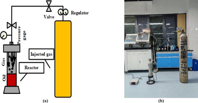 A study on the miscibility mechanisms and patterns of high CO2 content ...