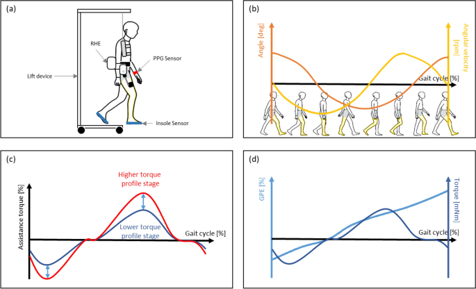 Clinical trials of GPE-based muscle support algorithm for robotic hip ...